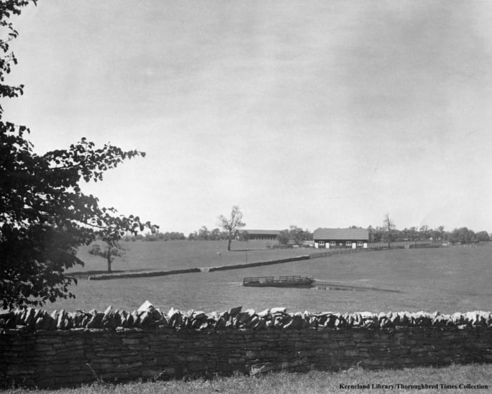 Kentucky Farm Time Capsule Mereworth Farm Paulick Report Shining