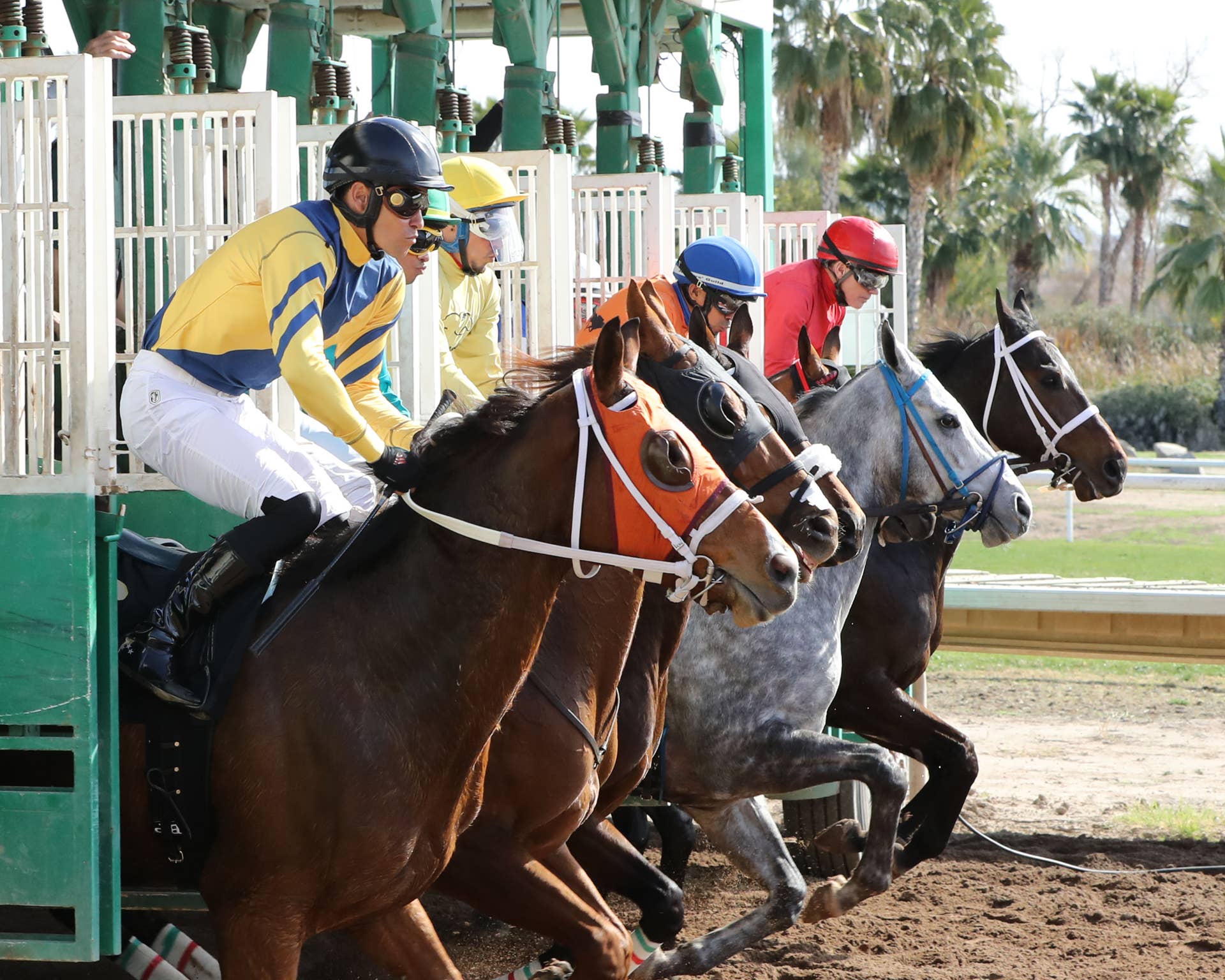Simms Suggests Turf Paradise Could Run A Fall Meet, If The Current Meet ...