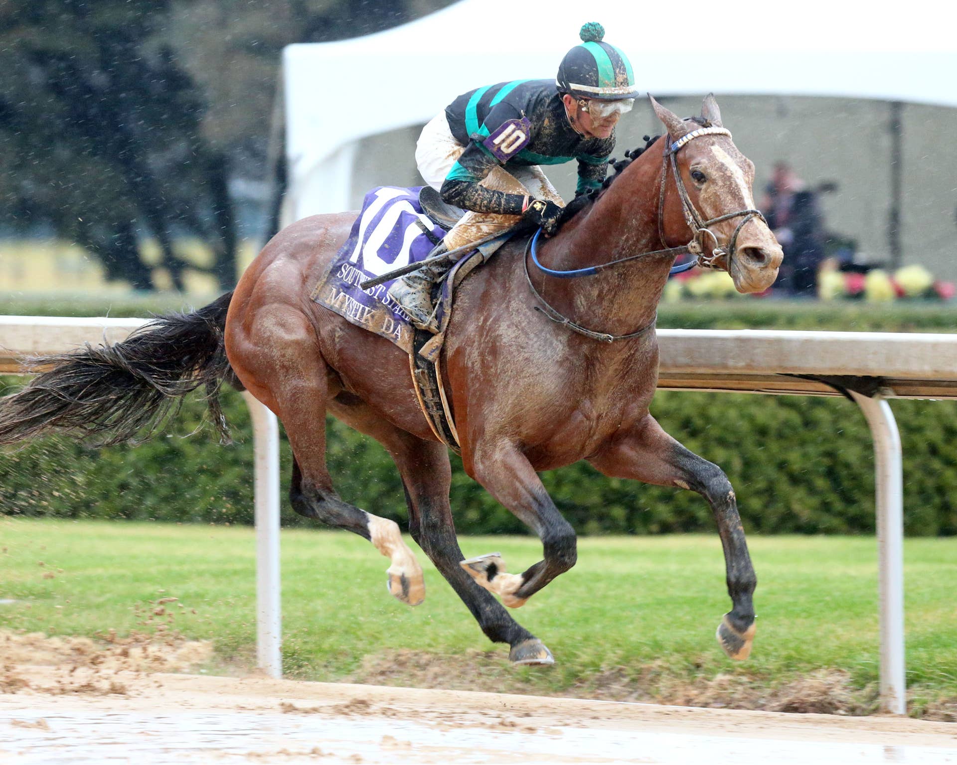 'He’s Been Working Lights Out': Mystik Dan Posts Final Serious Move For ...