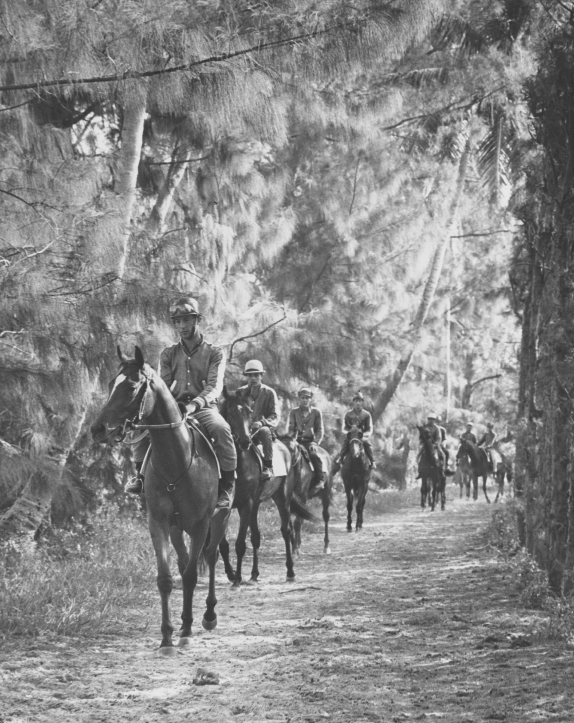 This Week In History: The Glory Days Of Hialeah Park In 1966 - Paulick ...