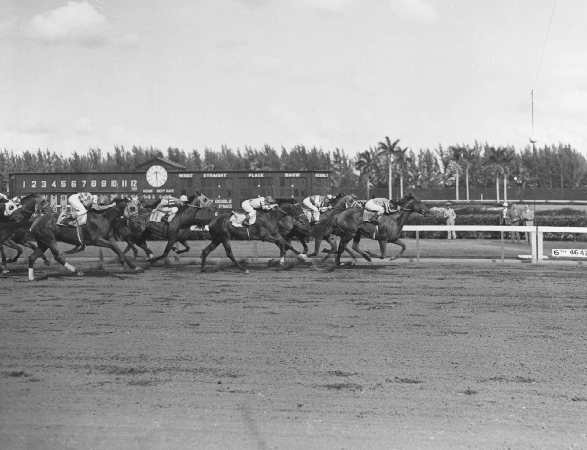 This Week In History: The Glory Days Of Hialeah Park In 1966 - Paulick ...
