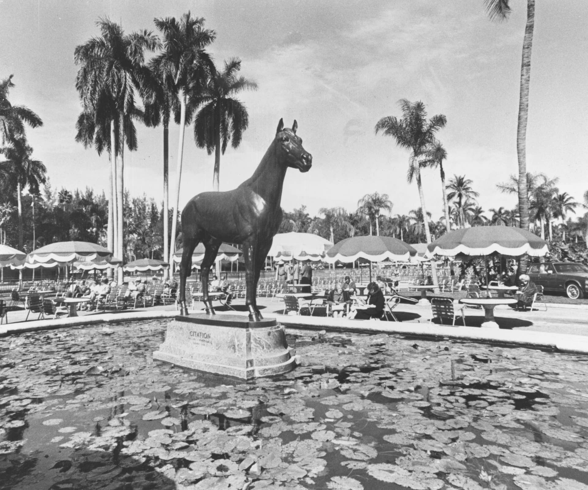 This Week In History: The Glory Days Of Hialeah Park In 1966 - Paulick ...
