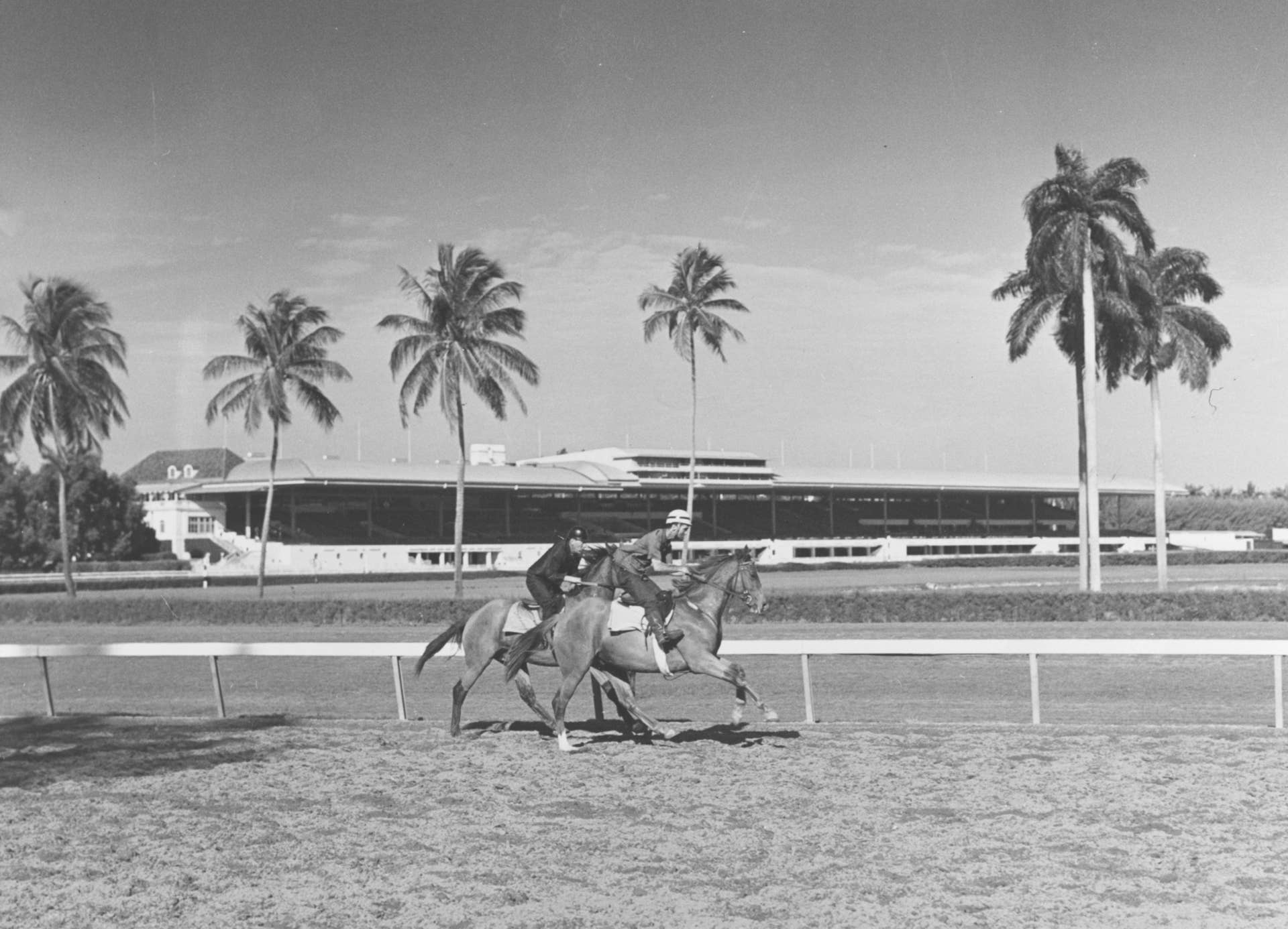 This Week In History: The Glory Days Of Hialeah Park In 1966 - Paulick ...