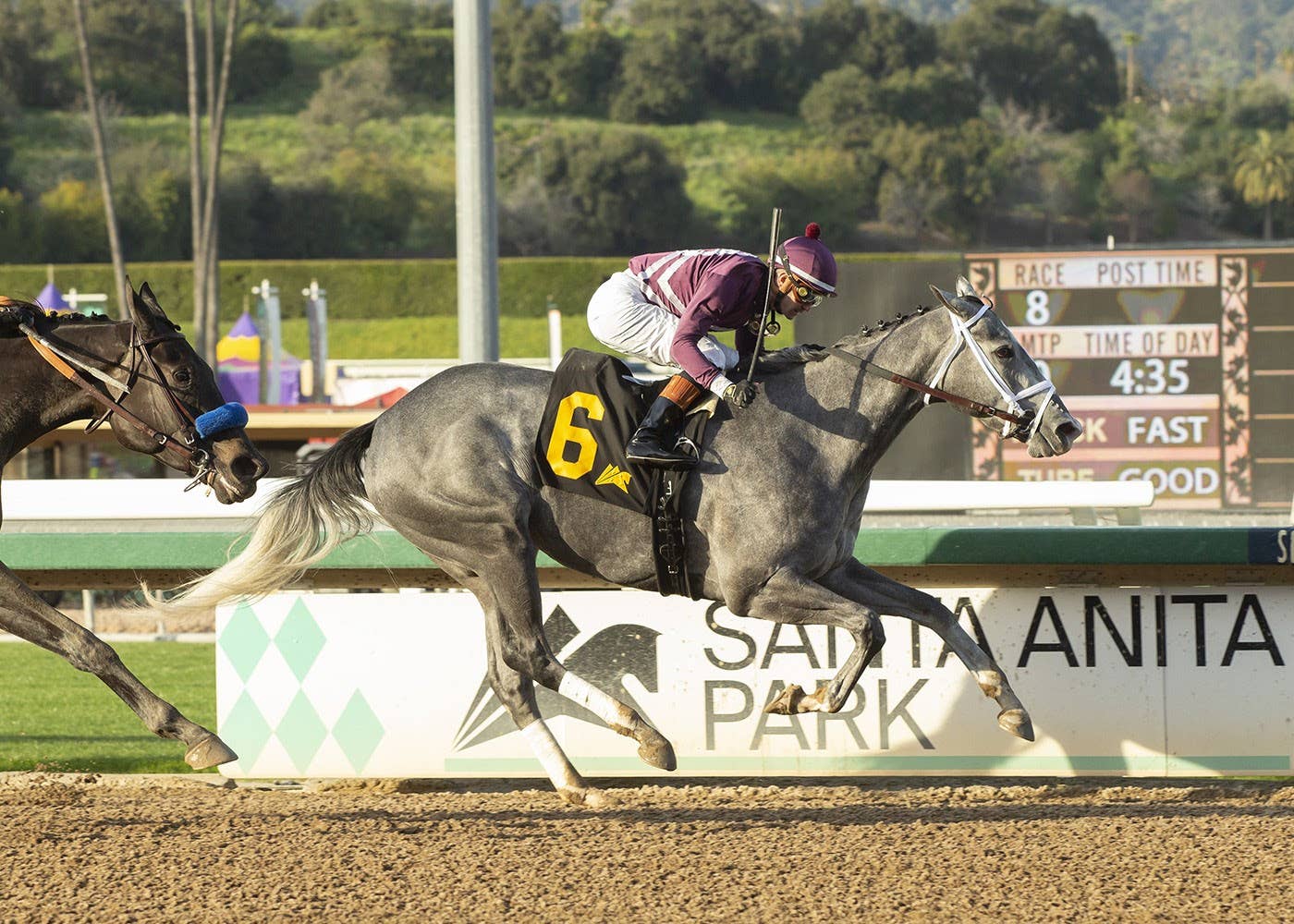 Bloodlines Presented By Walmac Farm: Sweet Azteca Grows The Legendary ...