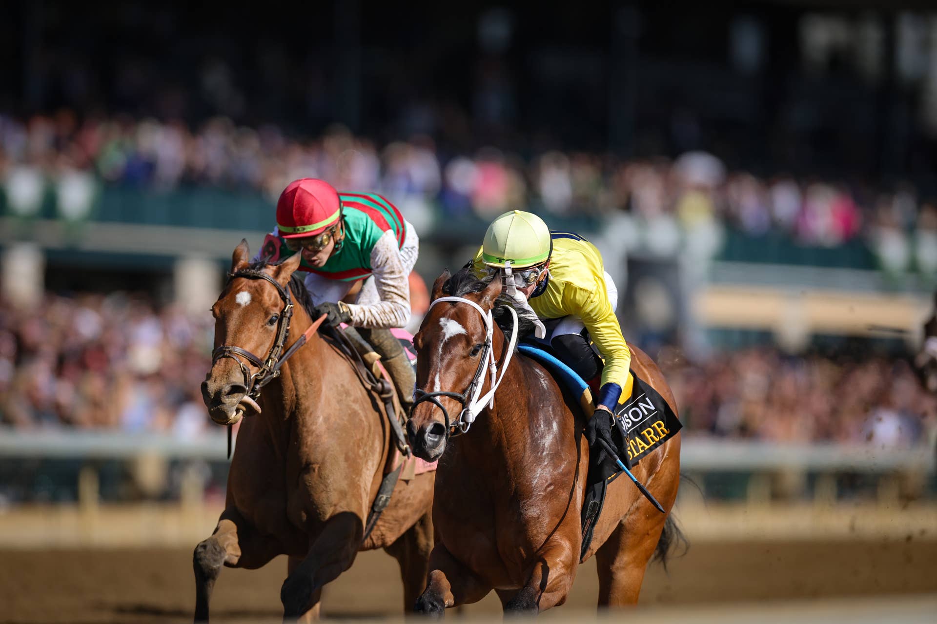 'Completely Devastated': G1 Winner Alva Starr Euthanized At Delaware ...