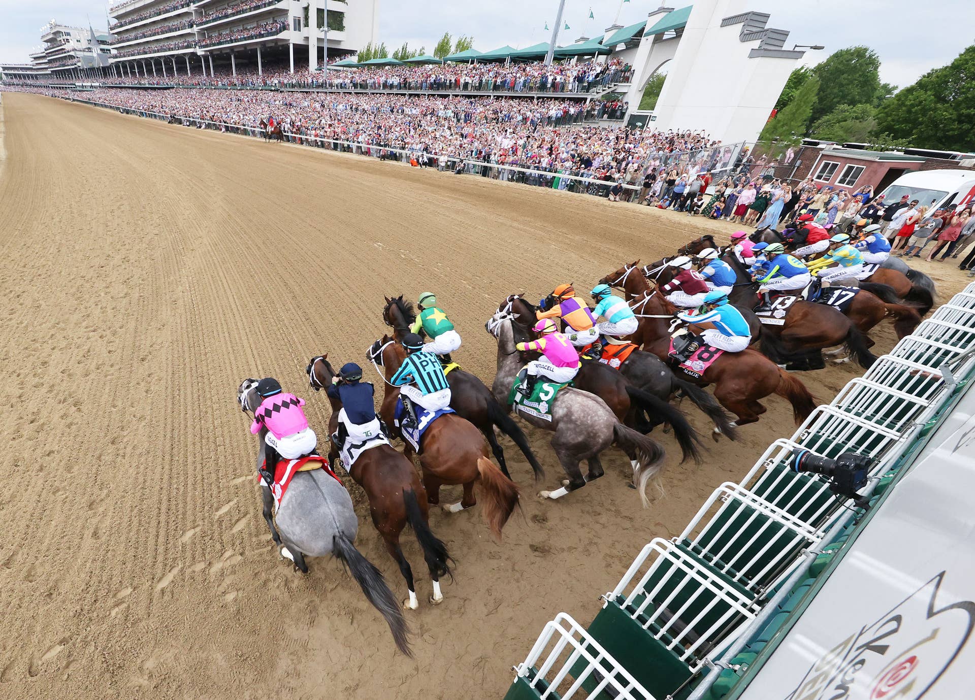 Curlin - Paulick Report