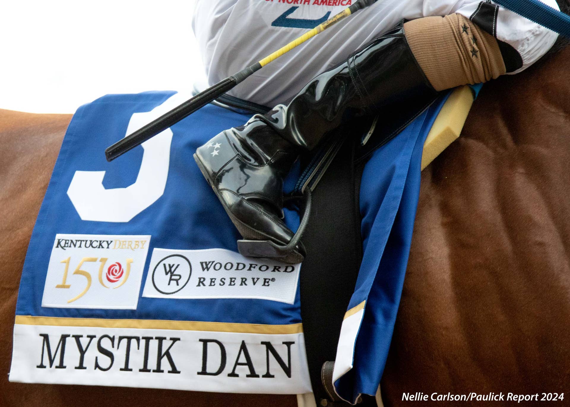 Mid-Year Report: Mystik Dan Top Earning Horse; Godolphin, Irad Ortiz Jr ...