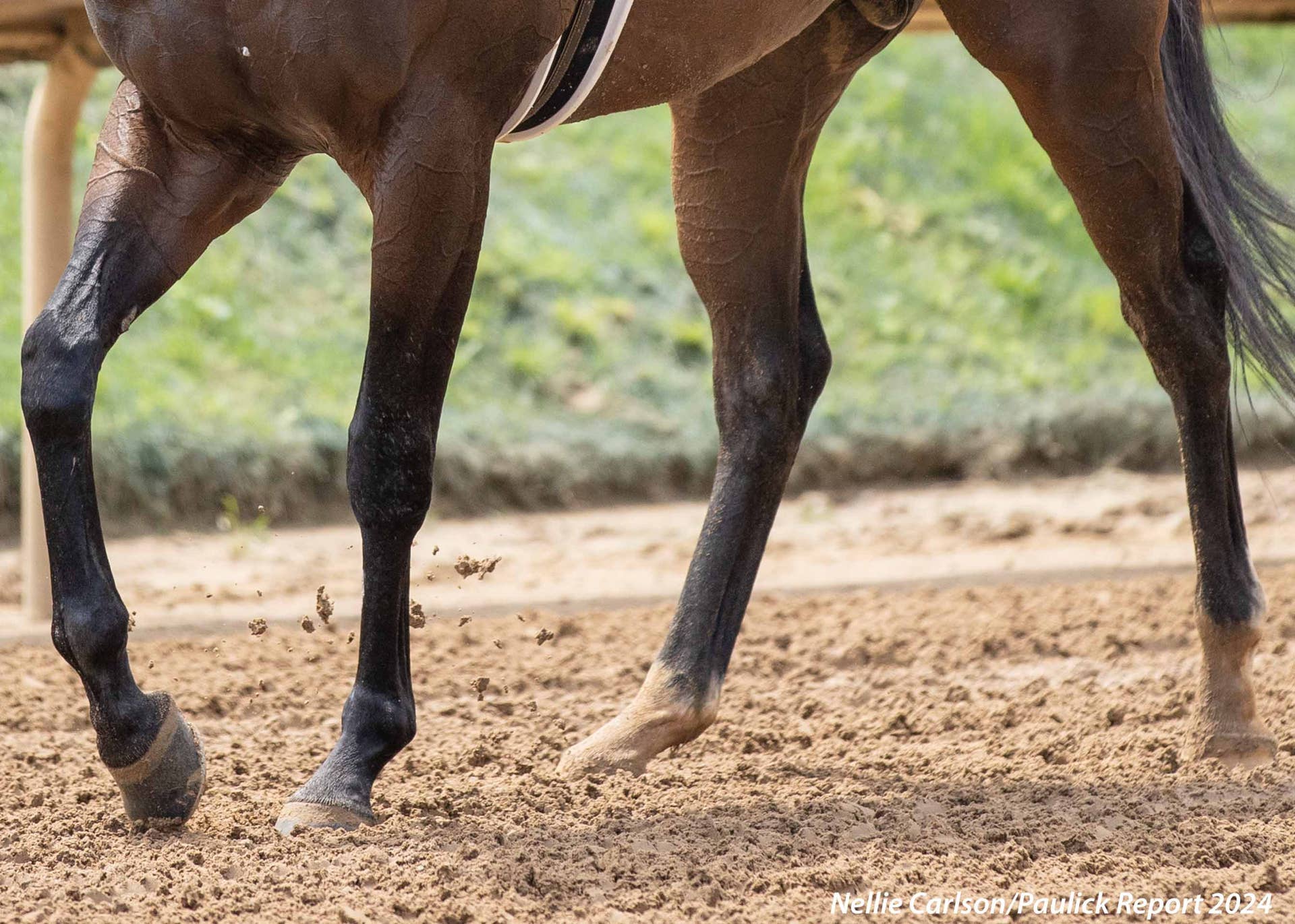 Great Falls Turf Club Cancels Summer Races Due To ‘Budget Shortfalls ...