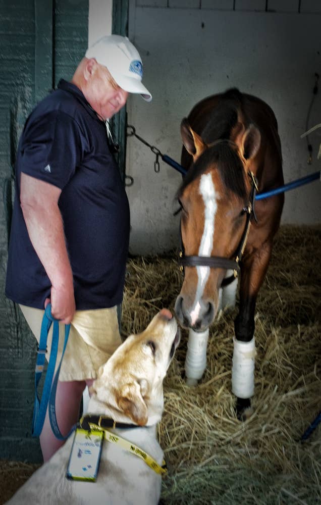Mystik Dan Enjoys ‘Sonny’ Friday Morning At Pimlico - Paulick Report