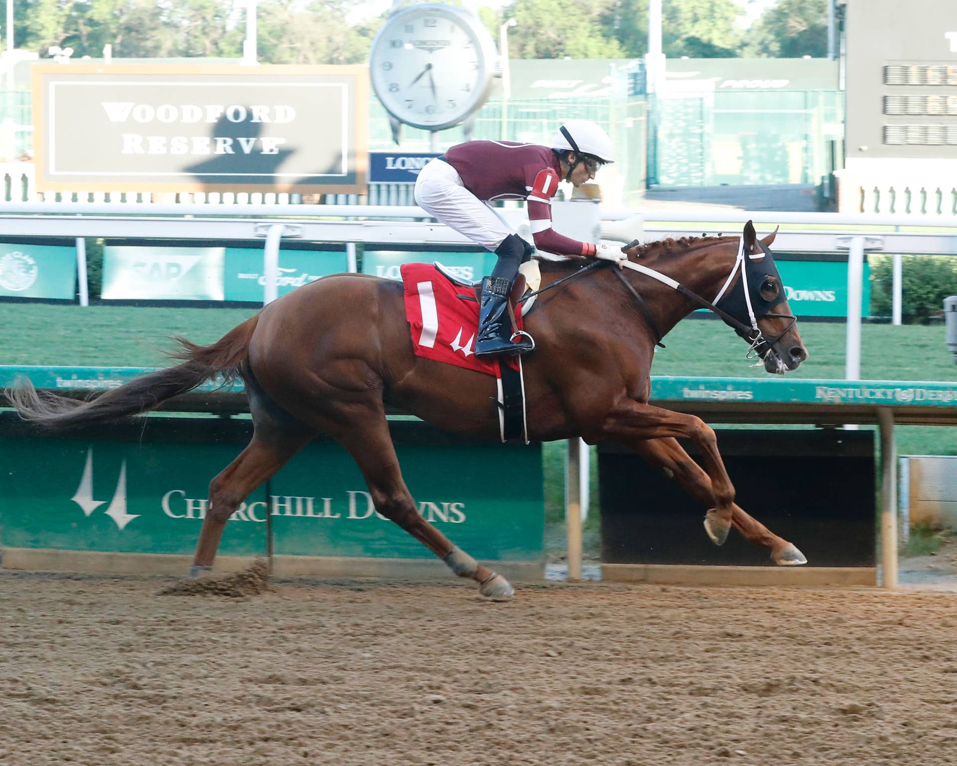 Disarm, Confidence Game Retired To New York's Hidden Lake Farm For 2026 ...