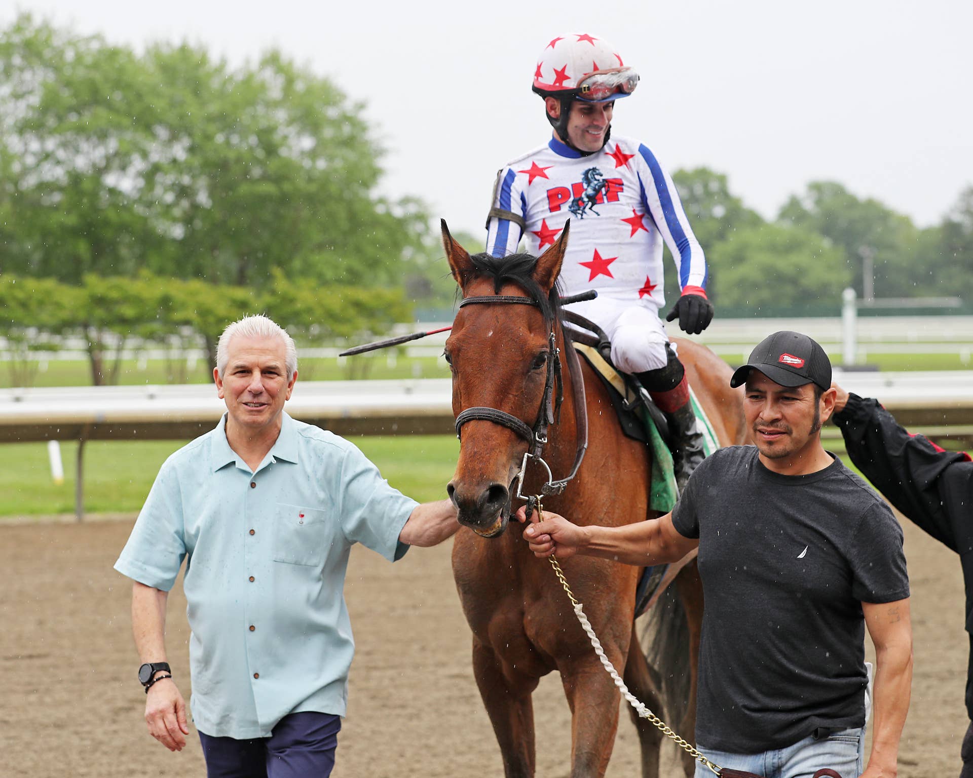 'Honest' Mia's Crusade Seeks Threepeat In Spruce Fir Handicap - Paulick ...
