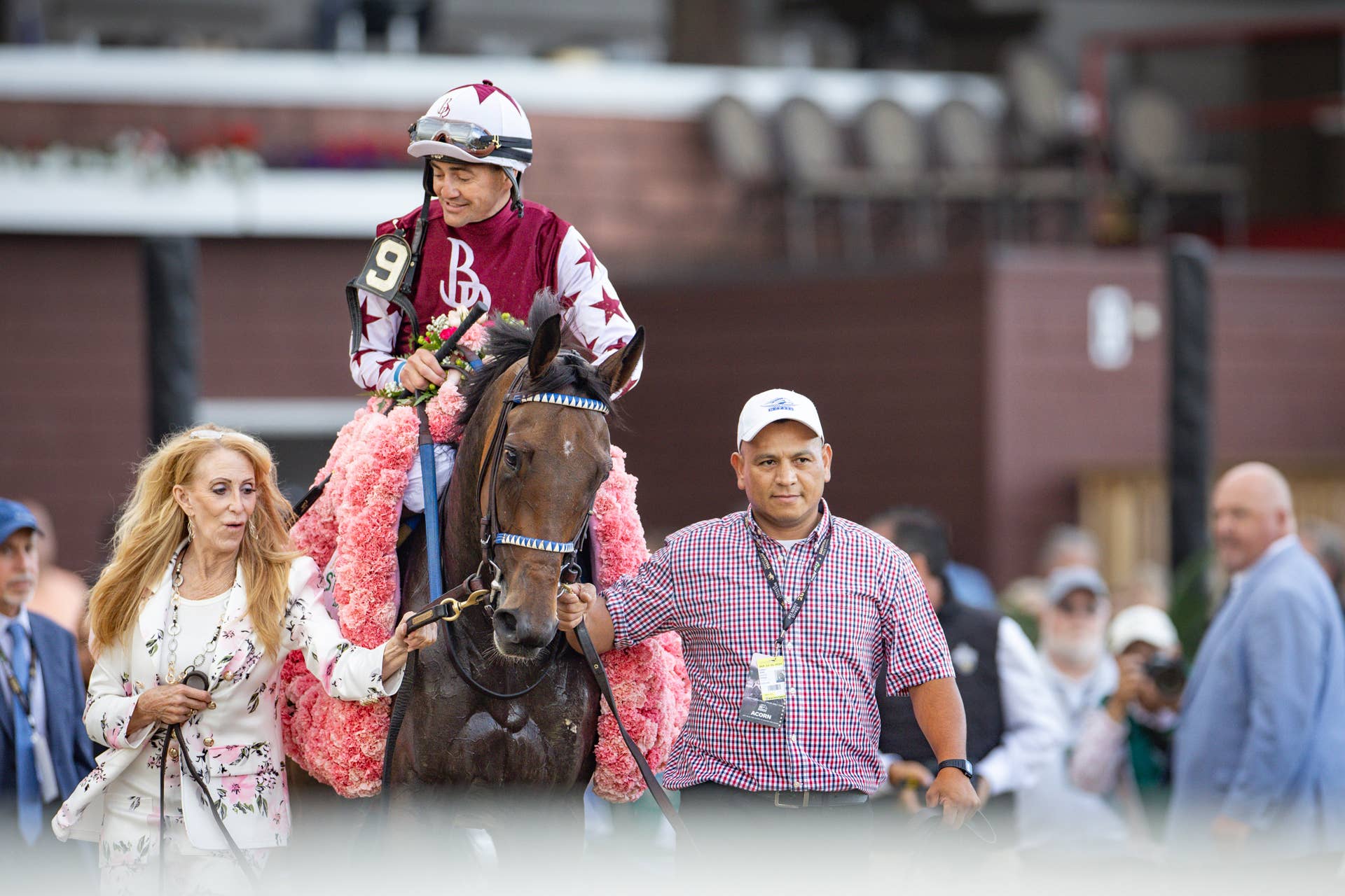 Watch: Breeder Judy Hicks Discusses Horse Of The Year Thorpedo Anna On ...