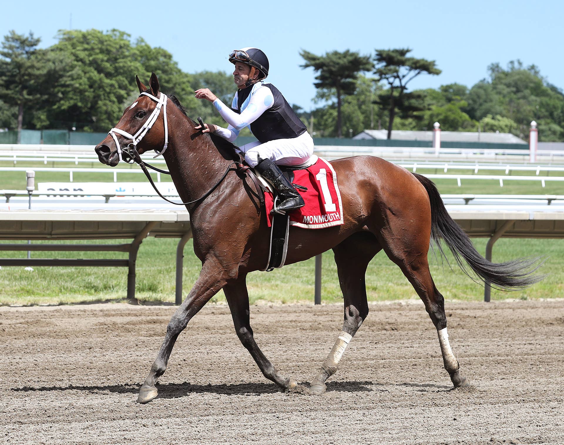 Candied, Miss Justify Top 'Wide Open' Alabama - Paulick Report
