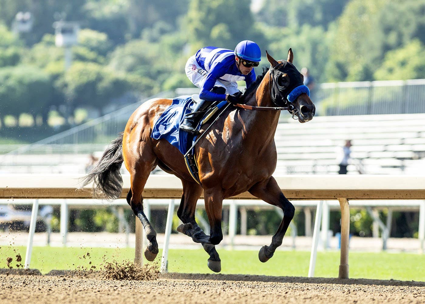 'Fresh 3YO' Parenting Steps Up For Baffert, Scores Authoritative ...