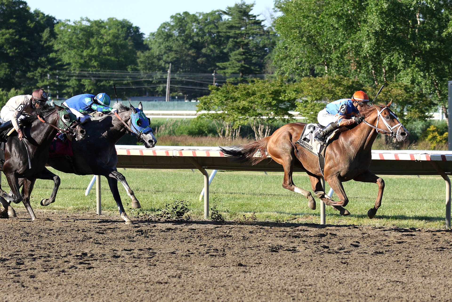 Whitney Hopefuls Bright Future, Skippylongstocking, Il Miracolo Log ...