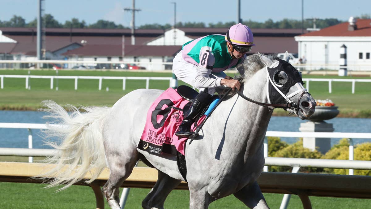 Bloodlines Presented By Walmac Farm: Dragoon Guard Keeps Arrogate's ...