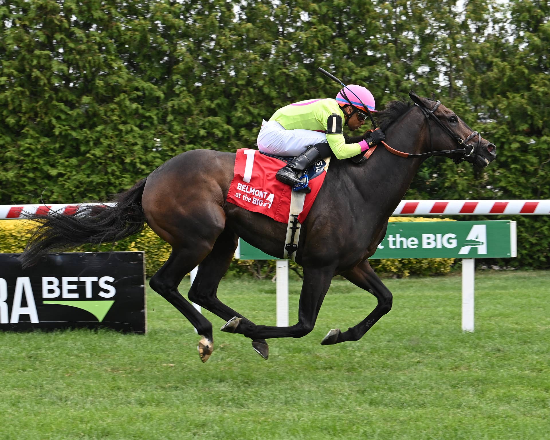 Dubb Hoping To Fly High In 2025 With New York-Bred Spirit Of St. Louis ...