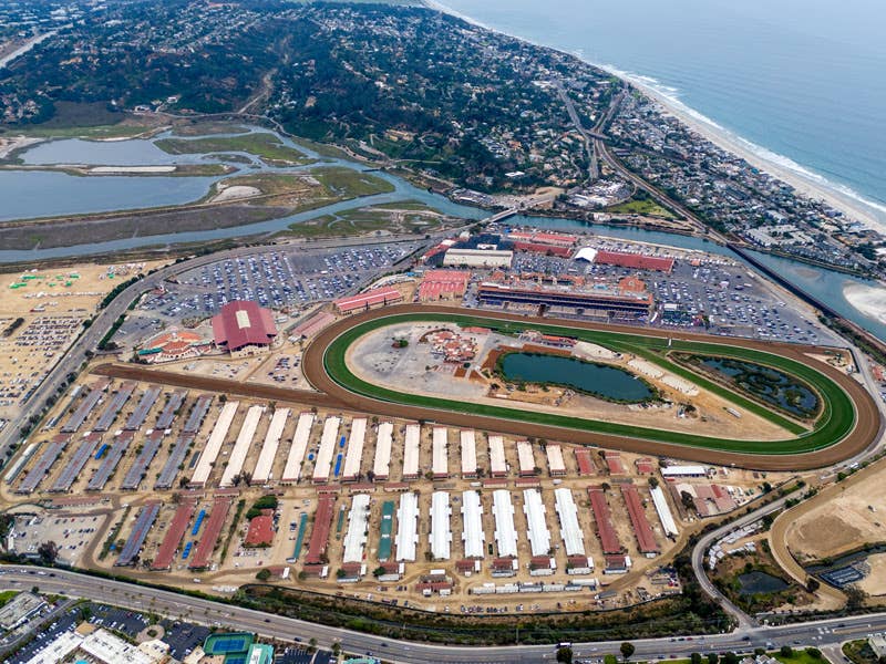 Breeders' Cup Forum: Josh Rubinstein, President Of Del Mar Thoroughbred ...