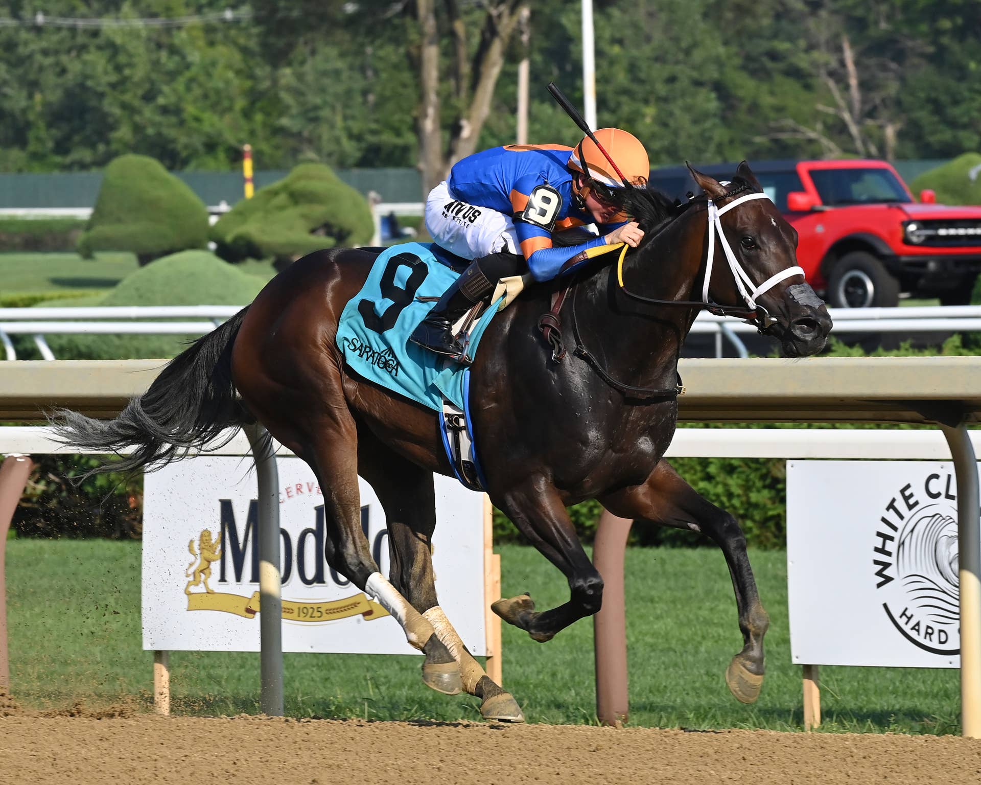 Bloodlines Presented By Walmac Farm: Graded Stakes Success For Blue ...