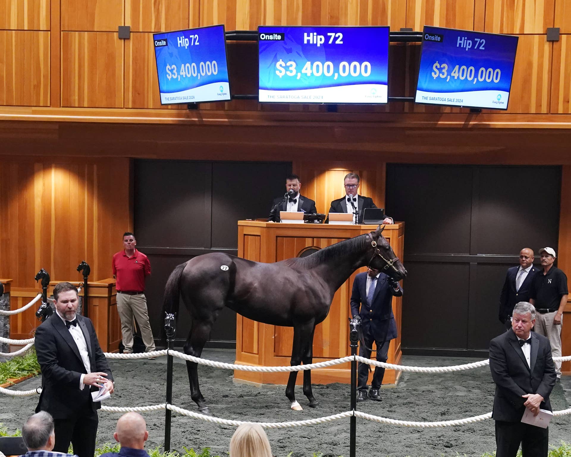 Not This Time Colt Tops 'Tremendous' First Session Of Fasig-Tipton ...