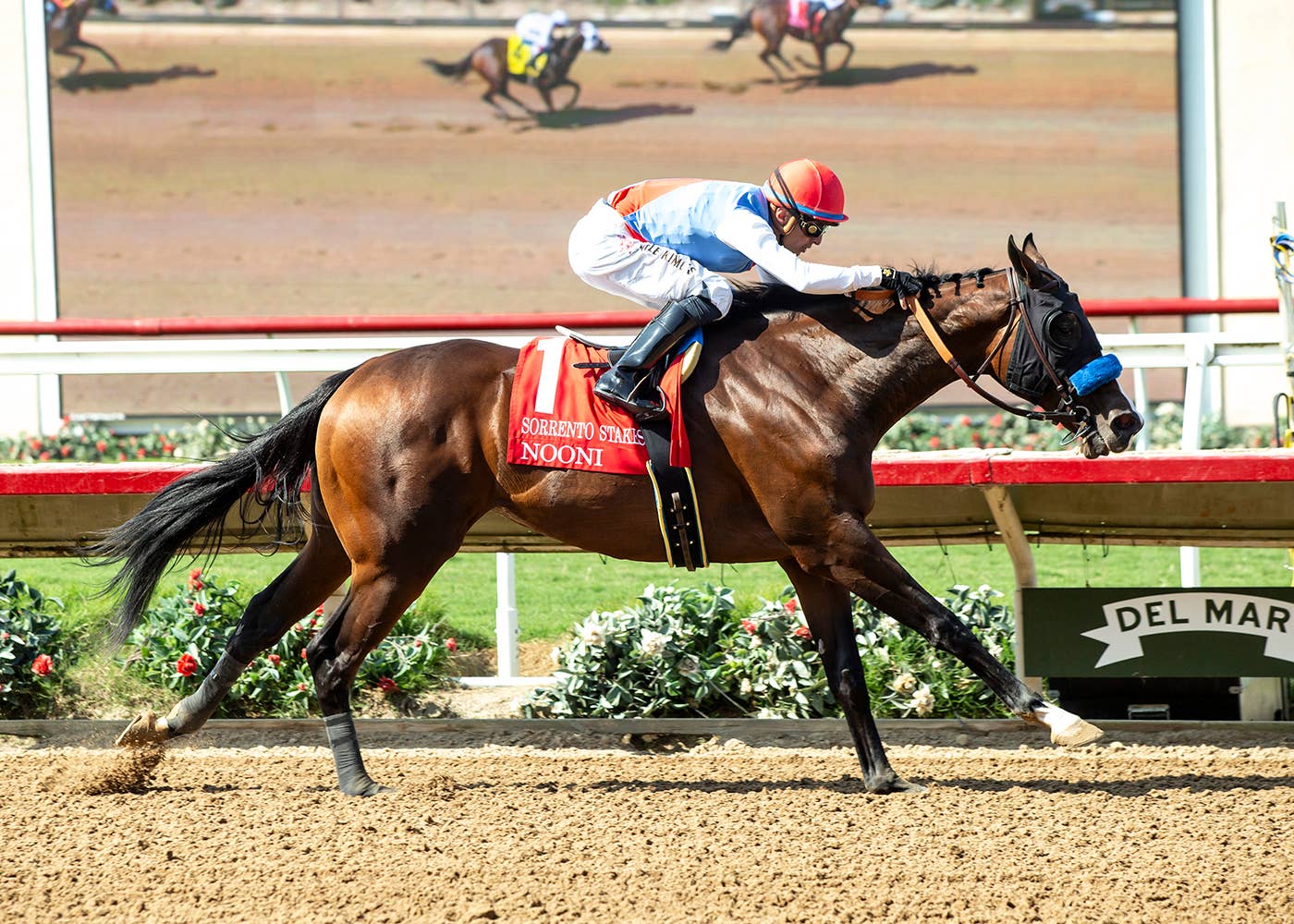 Bloodlines Presented By Walmac Farm: Win Win Win Keeps Doing Just That ...