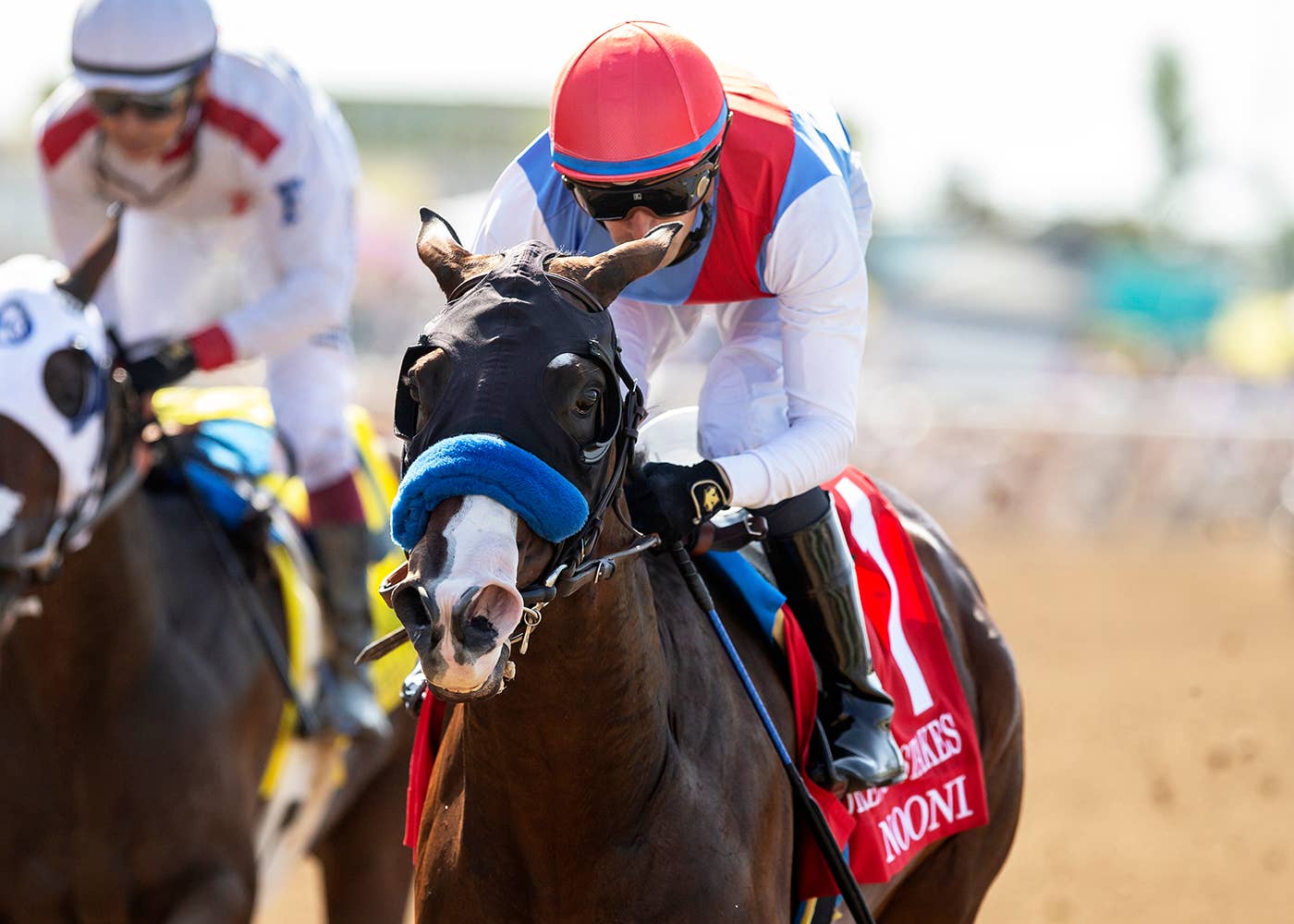 2024 Sorrento Winner Nooni Returns From Lengthy Layoff In Desert ...