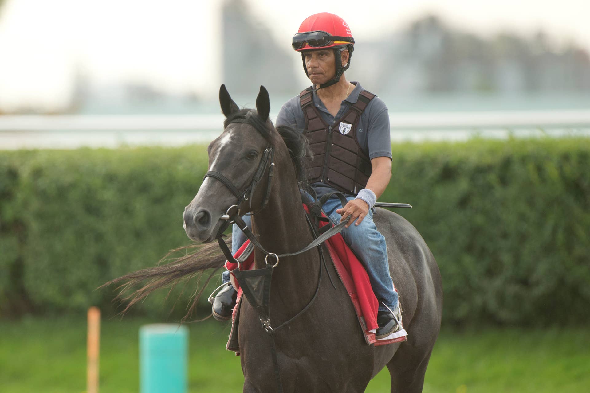 Travis Kelce Purchases Share In Thoroughbred Swift Delivery - Paulick ...