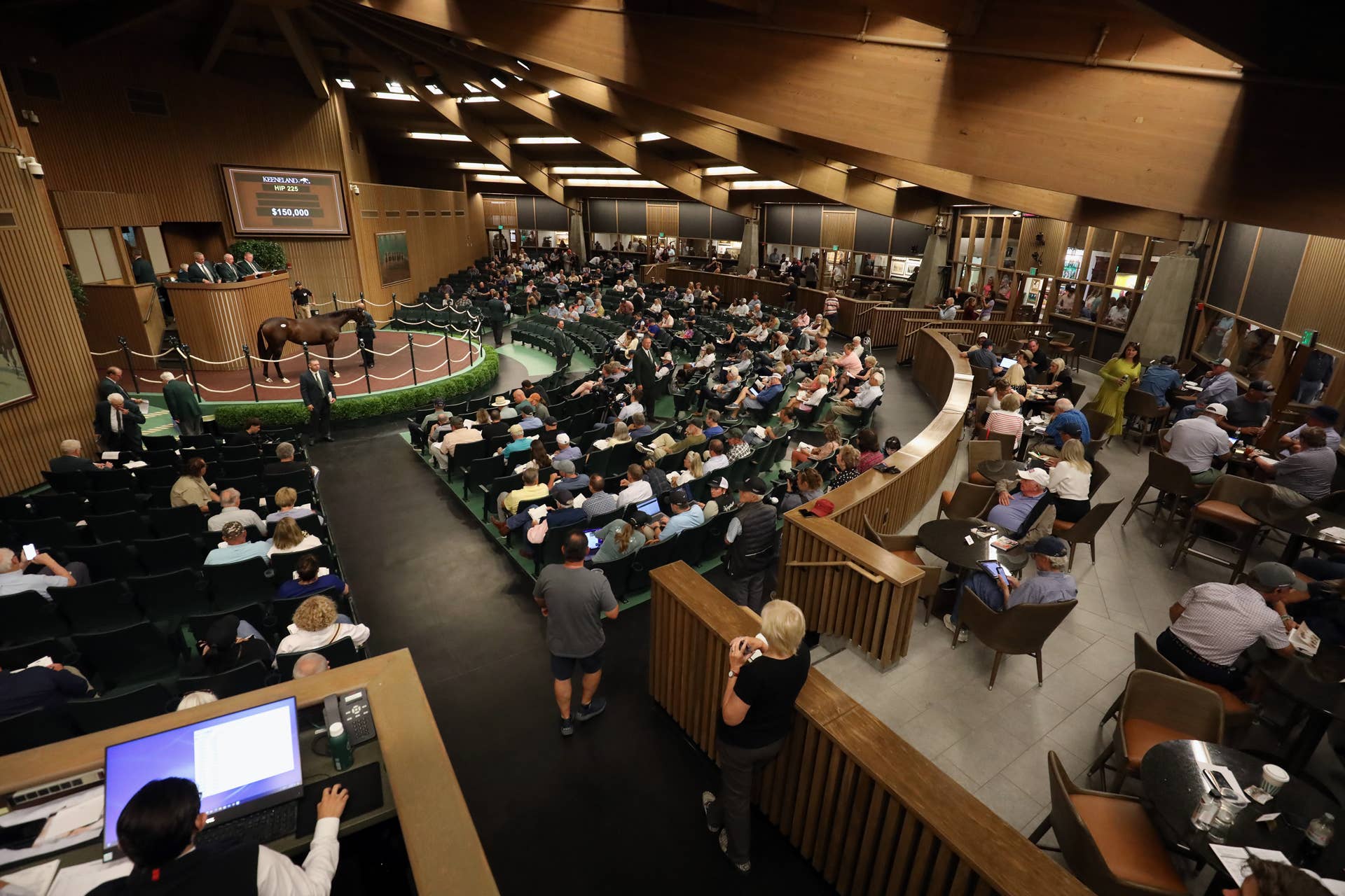 Keeneland’s 2025 September Yearling Sale Begins Monday - Paulick Report