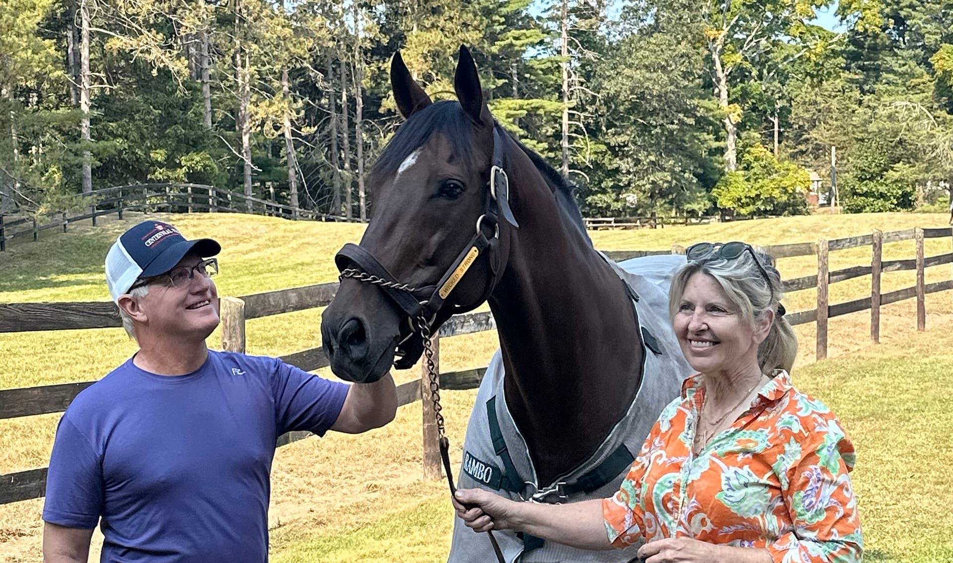 Kentucky Derby Runner Wicked Strong Pensioned To Racing Owner's Farm In ...
