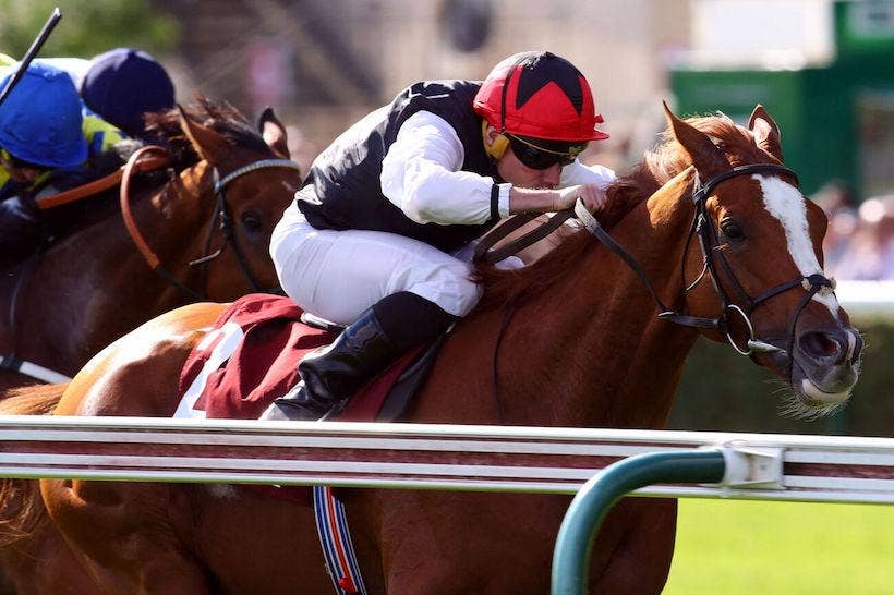 What Is Ringbone? A Look At The Condition That Forced Kyprios ...