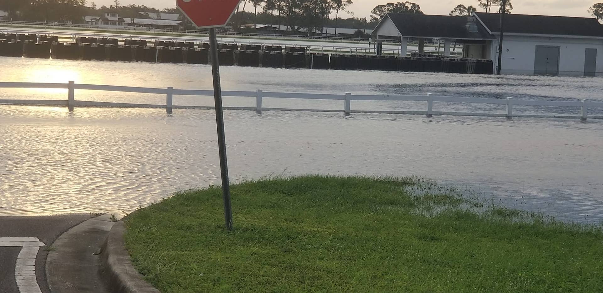 'It Looks Like Nothing Even Happened': Tampa Bay Downs Rebounds From ...