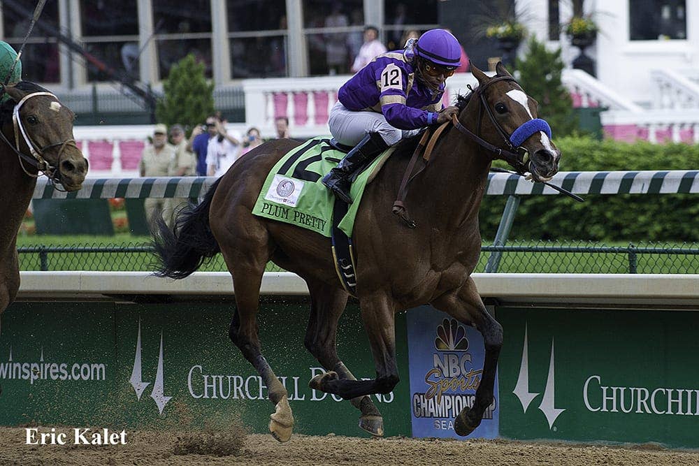 2011 Kentucky Oaks Winner Plum Pretty Dies At Gainesway - Paulick Report