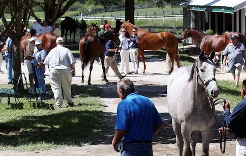 Keeneland September: Double-digit increases on day 9 - Paulick Report
