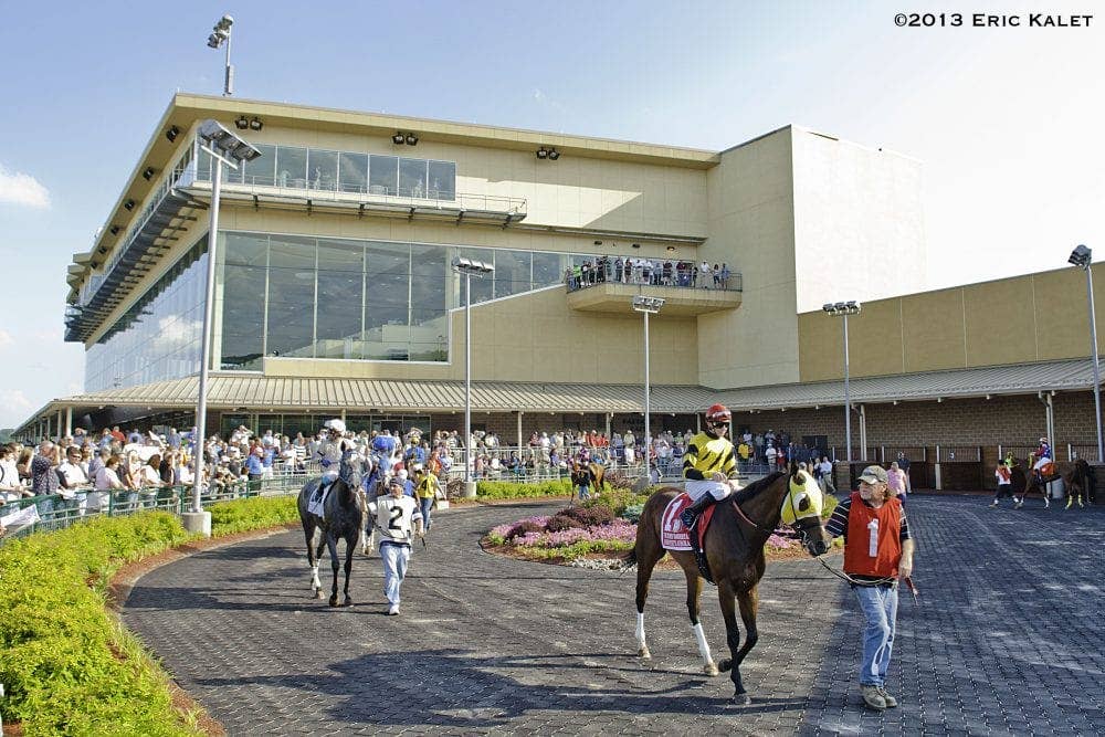 47 Additional Horses Named In Pennsylvania Joint Injection Case ...