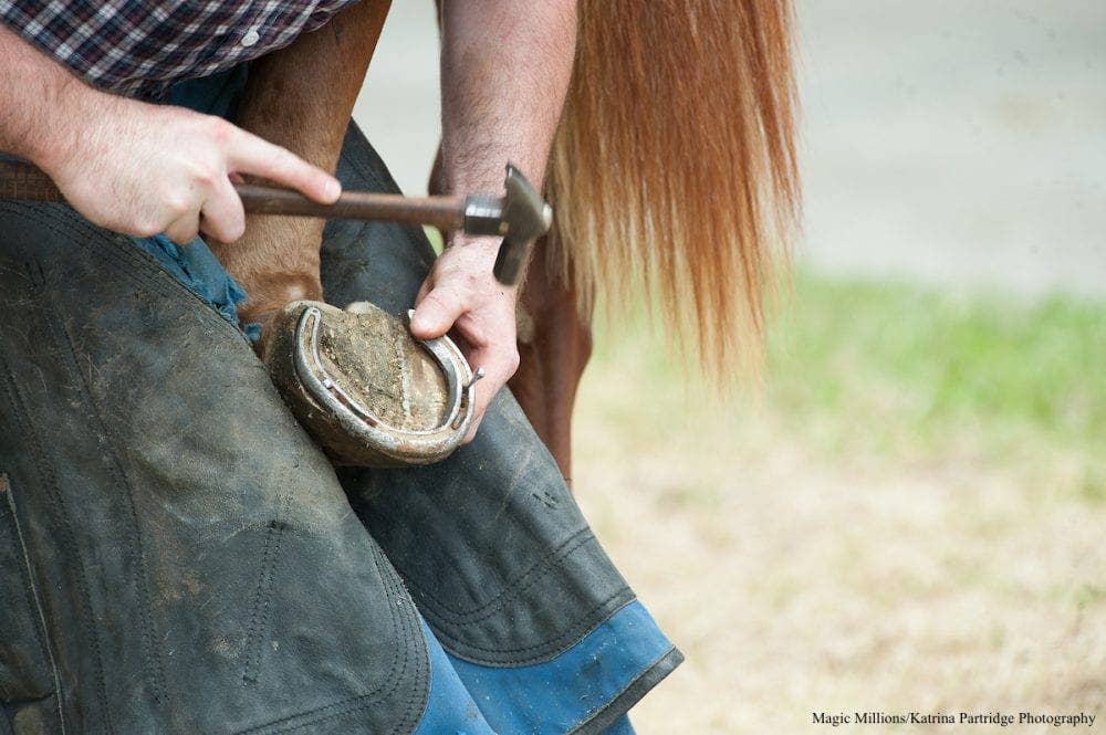 Farrier - Paulick Report