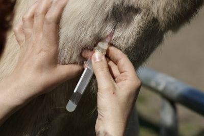 HIWU Catches Trainers Up On Environmental Contamination, Electrolytes ...