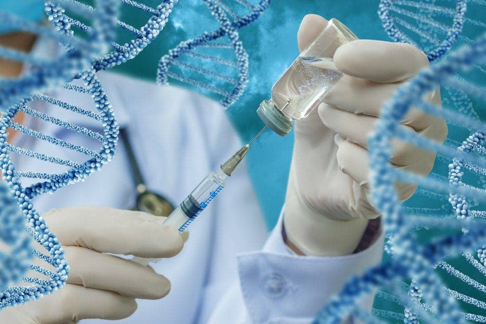 New Equine Gene Mapping Project Launched At University Of Kentucky ...