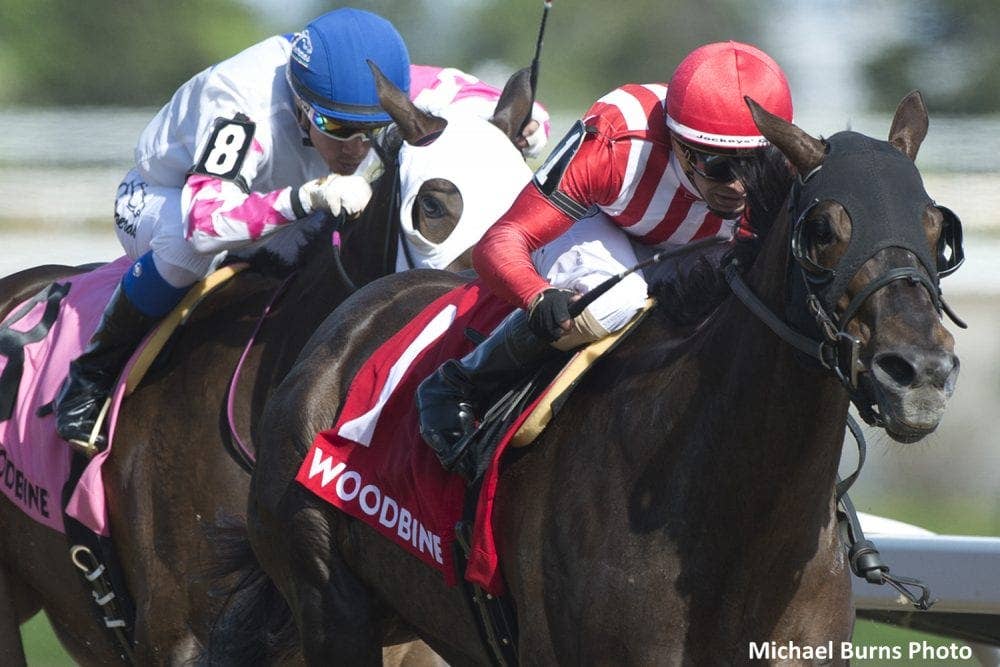 8-Year-Old Scotty's Model Earns First Stakes Win In Ballade - Paulick ...