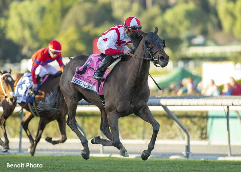 Competitionofideas Tops Brown-Trained Duo In New York Stakes - Paulick ...