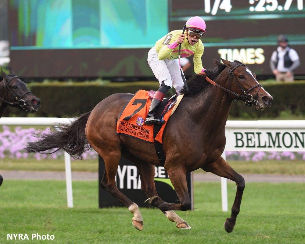 Grade 1 Winner Fourstar Crook Dies In Japan At Age 14 - Paulick Report