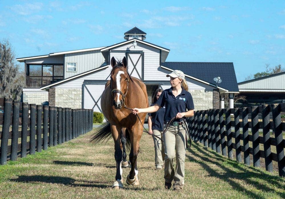 Kentucky Equine Research Opens Performance Center In Ocala - Paulick Report