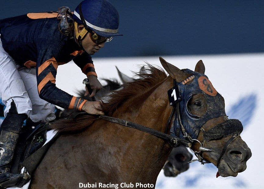 'Truly Regrettable': Record-Setting New York-Bred Mind Your Biscuits ...