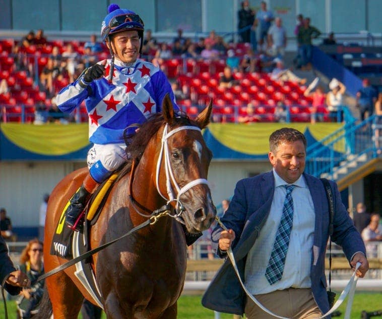 Former Claimer, Grade 1 Winner Starship Jubilee Seeks Historic Third ...