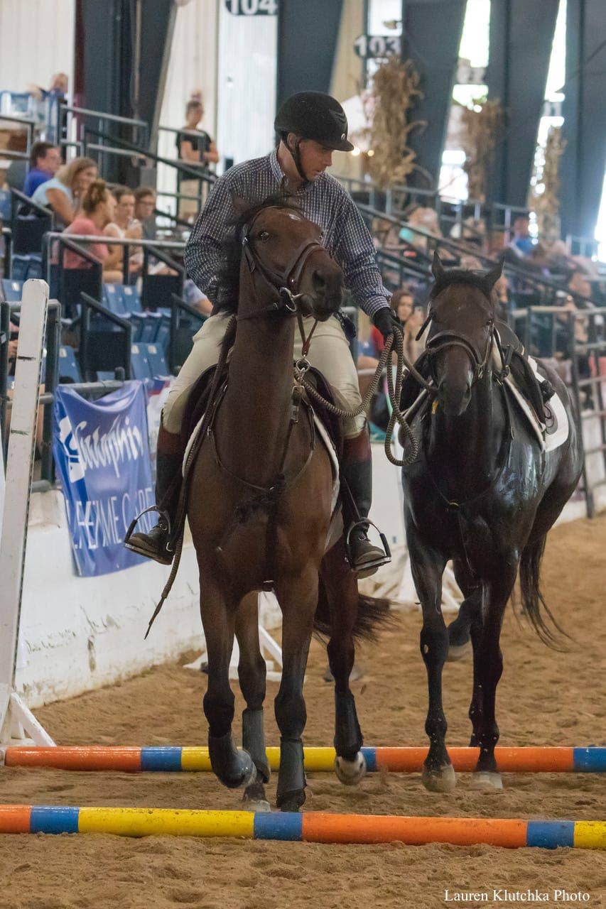 Thoroughbred Makeover Masterclass Demonstrates The Many Paths To ...