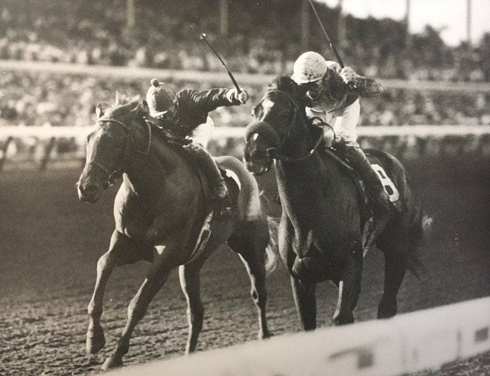 Sunday Silence - Paulick Report