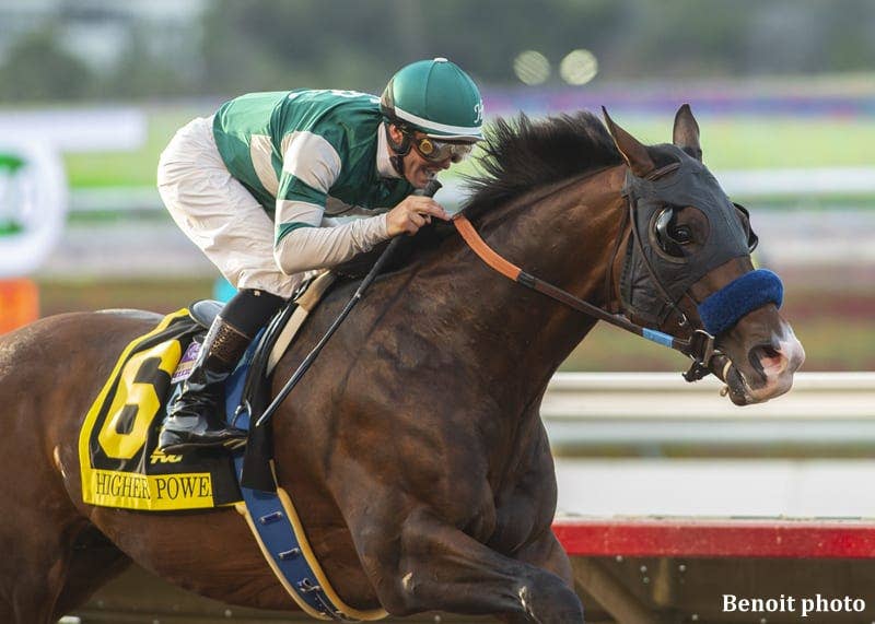 Higher Power Moves To Ohio's R.C. Cline Thoroughbreds In 2026 - Paulick ...
