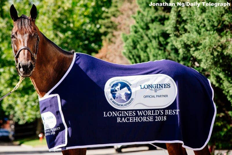 Australian Superstar Winx To Visit Too Darn Hot For 2025 Breeding ...