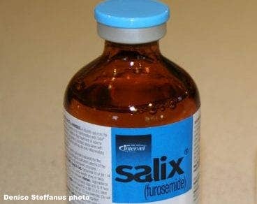 HISA Votes: No Change To Current Lasix Rules - Paulick Report