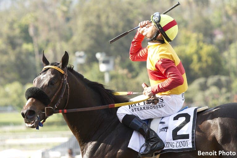 'This Is Quality': Kentucky Derby Starter Danzing Candy To Stand In ...