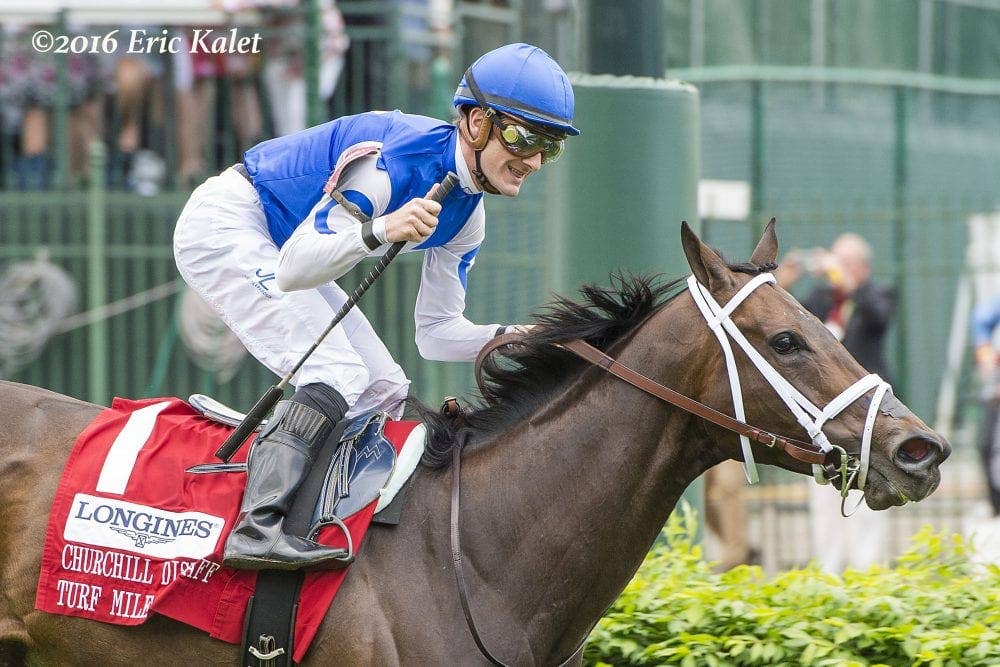 'An Incredible Racemare': Hall Of Famer Tepin Dies At Age 12 - Paulick ...